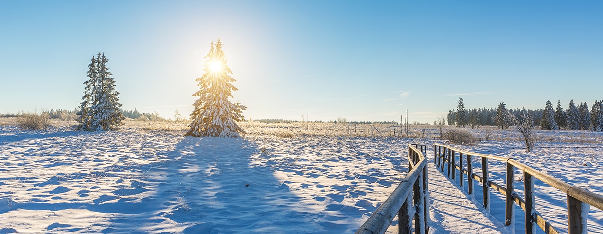 ardennes-snow | Belvilla Blog