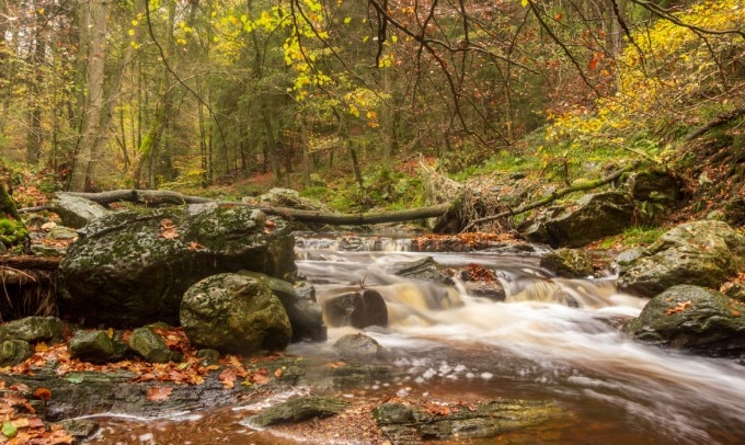 5 mooie wandelingen in de Ardennen | Belvilla Blog